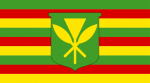 Kanaka Maoli Flag origin « Hawaiian Kingdom Independence Blog